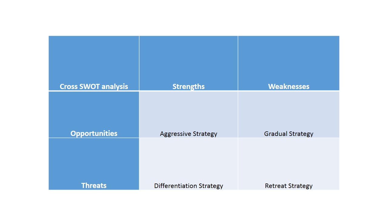 Cross Swot Analysis Founder s Guide Cross Swot Analysis Founder s Guide