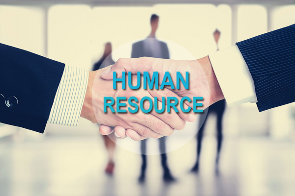 How to Build an HR Department from the Ground Up | Founder's Guide™